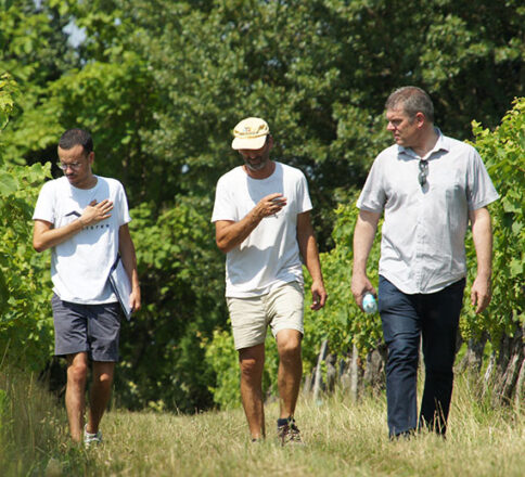 The Univitis Wine Cooperative