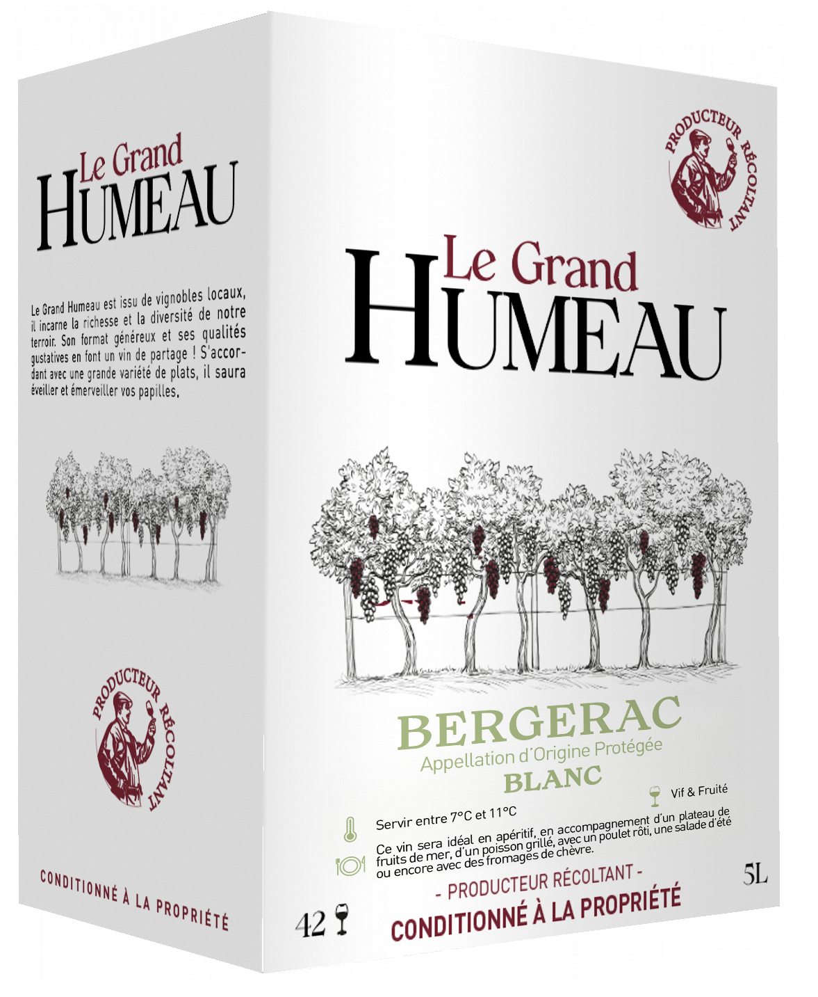 Décryptage des capsules de vin : apprenez à les lire et à les ...